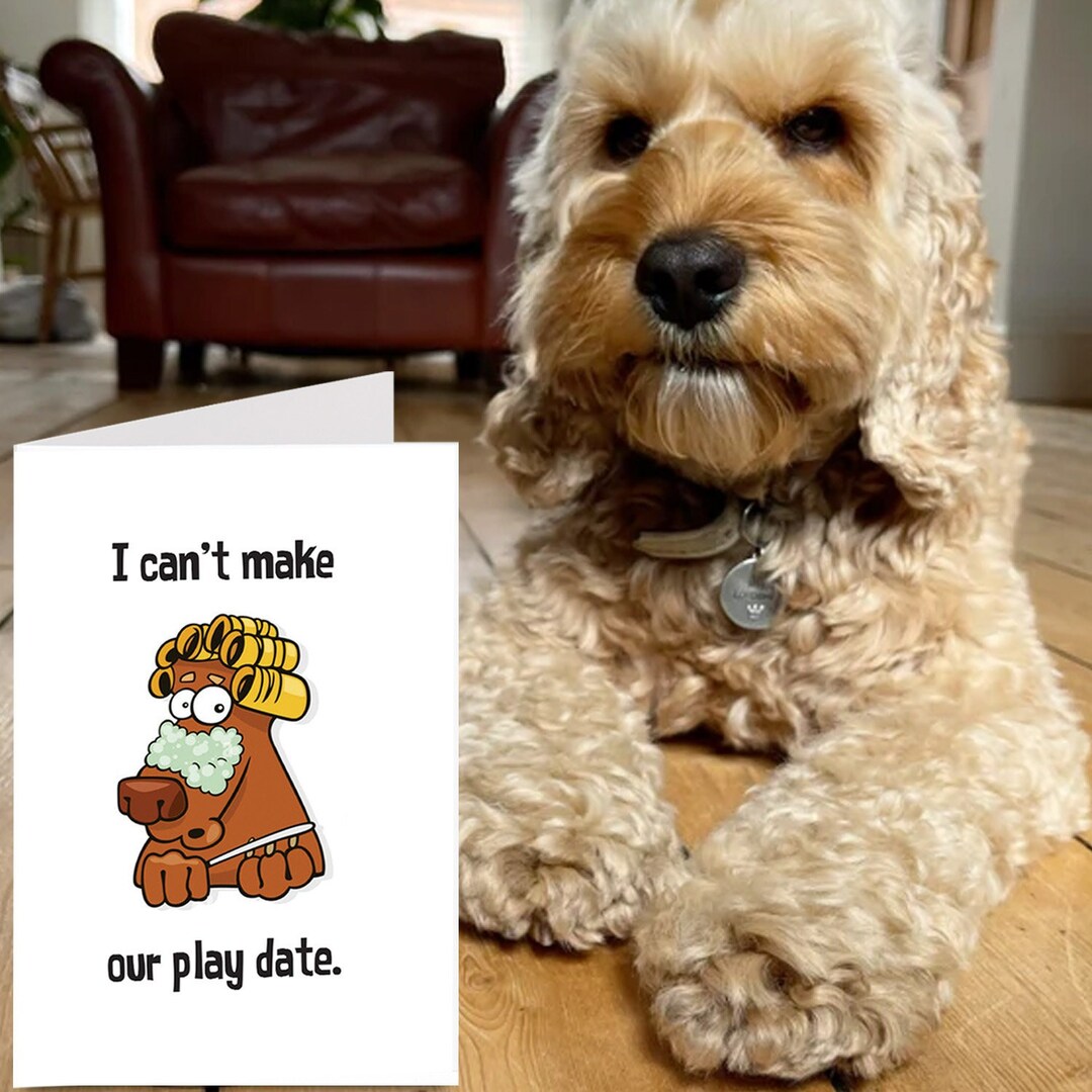Printable Funny Card for Furry Friends, Dogs, Pets, Cancel, Funny ...