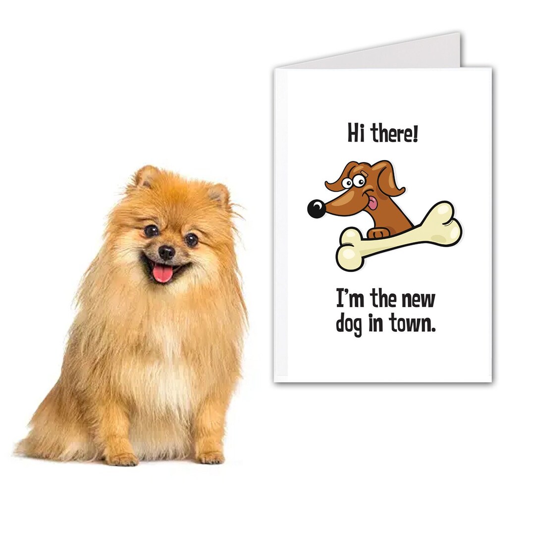 Printable Funny Card for Furry Friends, Dogs, Pets, New Pet, Funny ...