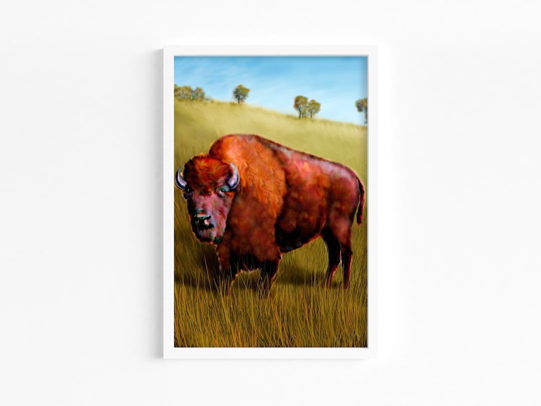 Buffalo Bison Illustration Print, Digital Downloadable Wall Art, Trendy ...