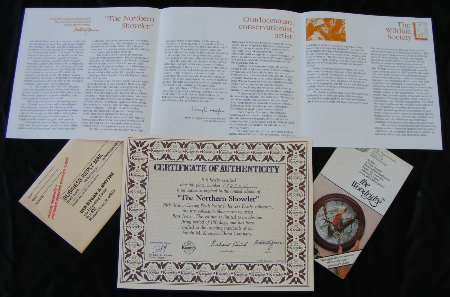 Bradford Exchange "the Northern Shoveler Duck" Barton Bart Jerner's ...