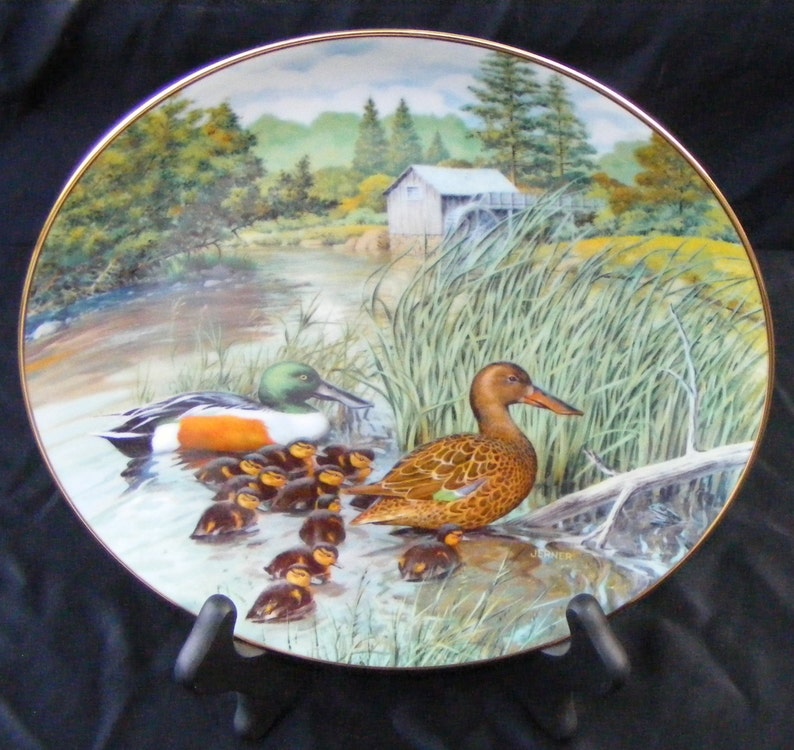 Bradford Exchange "the Northern Shoveler Duck" Barton Bart Jerner's ...