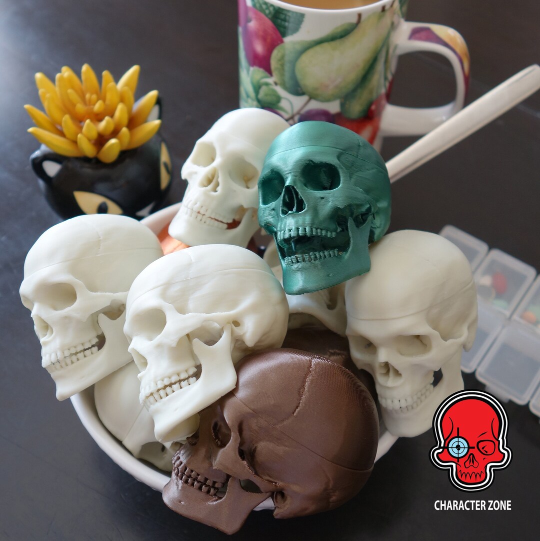 Mini Human Skull Accurately Detailed 3D Printed 1:4 Scale Beautiful ...