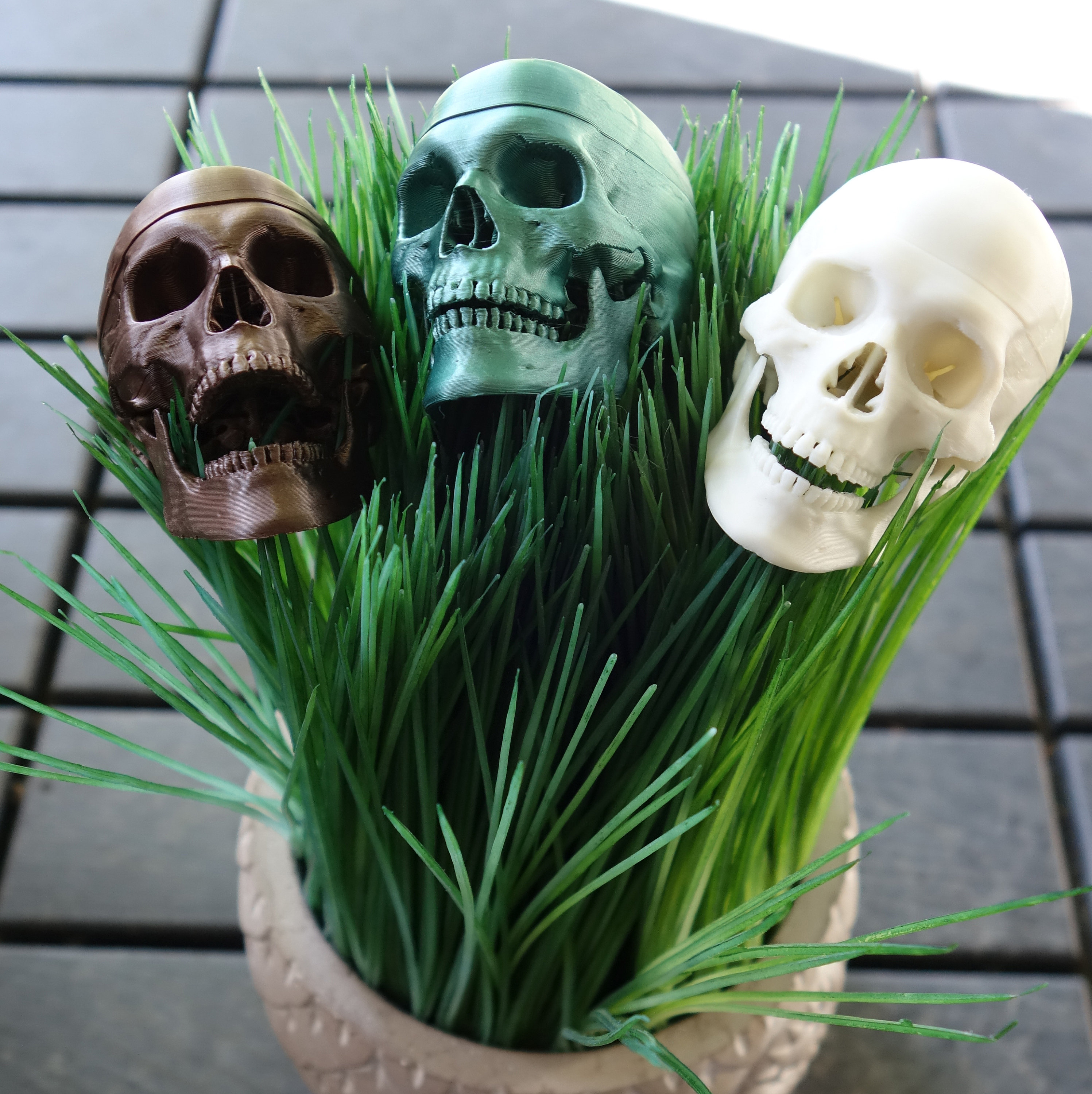 Mini Human Skull Accurately Detailed 3D Printed 1:4 Scale Model for ...