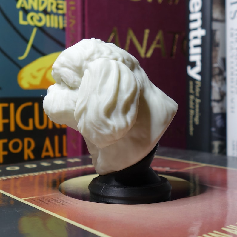 Shih Tzu 3D STL Model Bust Desktop Statue - Etsy