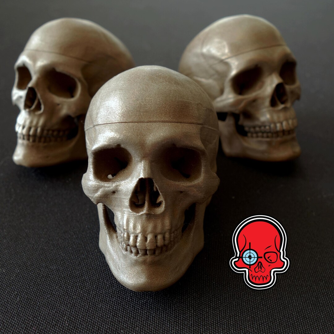 Metal Composite Mini Human Skull Accurately Detailed 3D Printed 1:4 ...