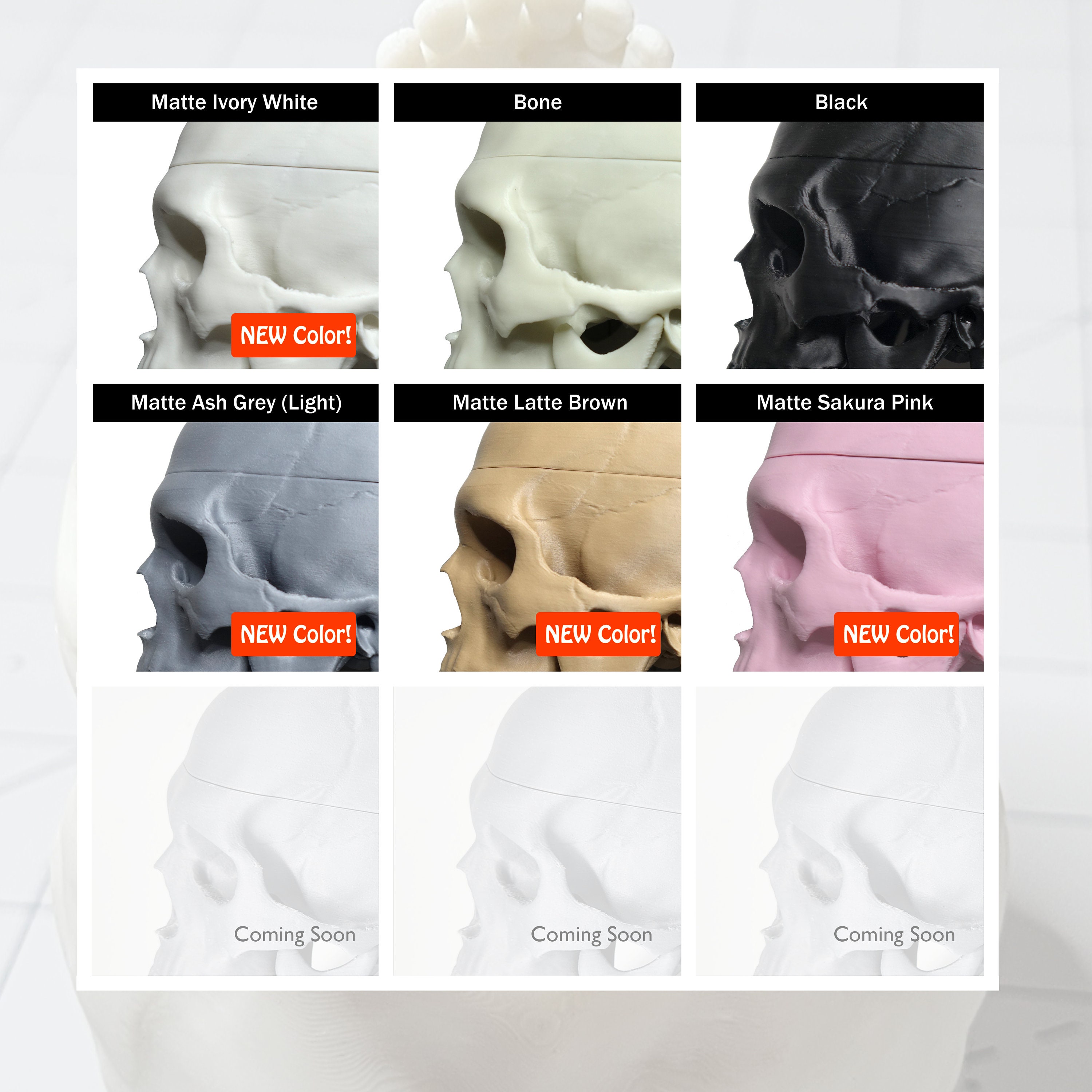 Accurately Detailed 3D Printed Human Skull 1:2 Scale Beautiful Model ...