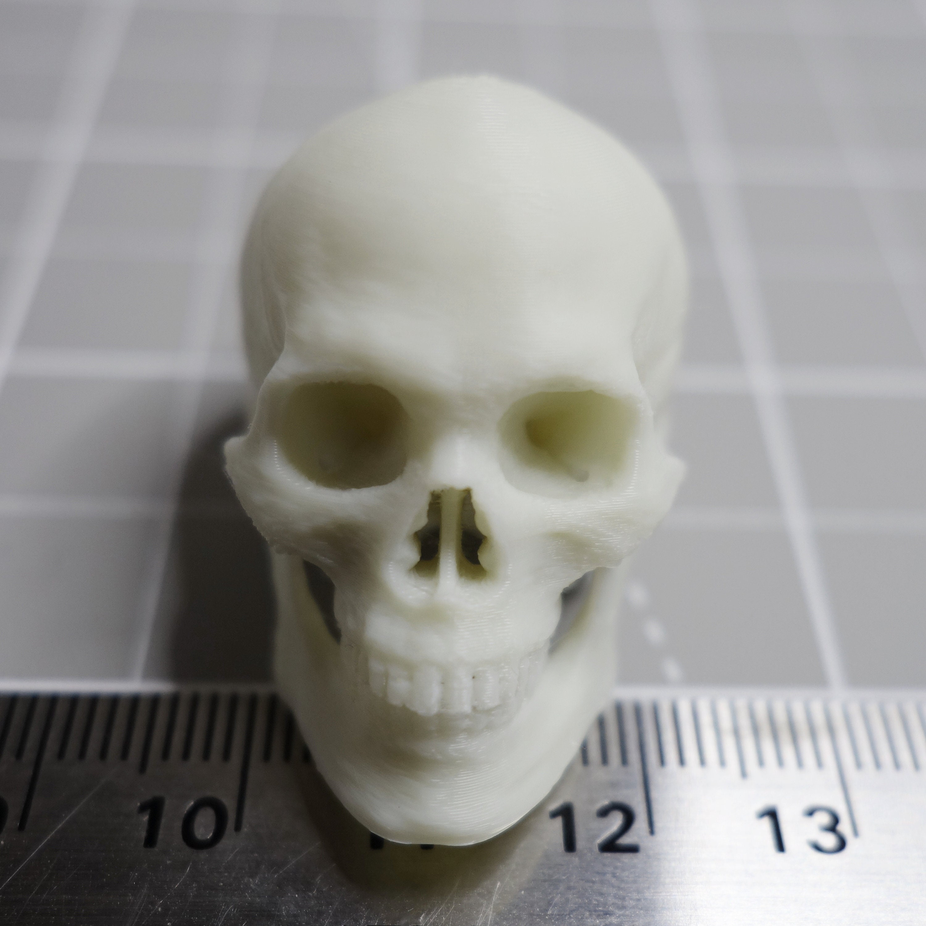 Extra Small Human Skull Accurately Detailed 3D Printed 1:6 Scale ...