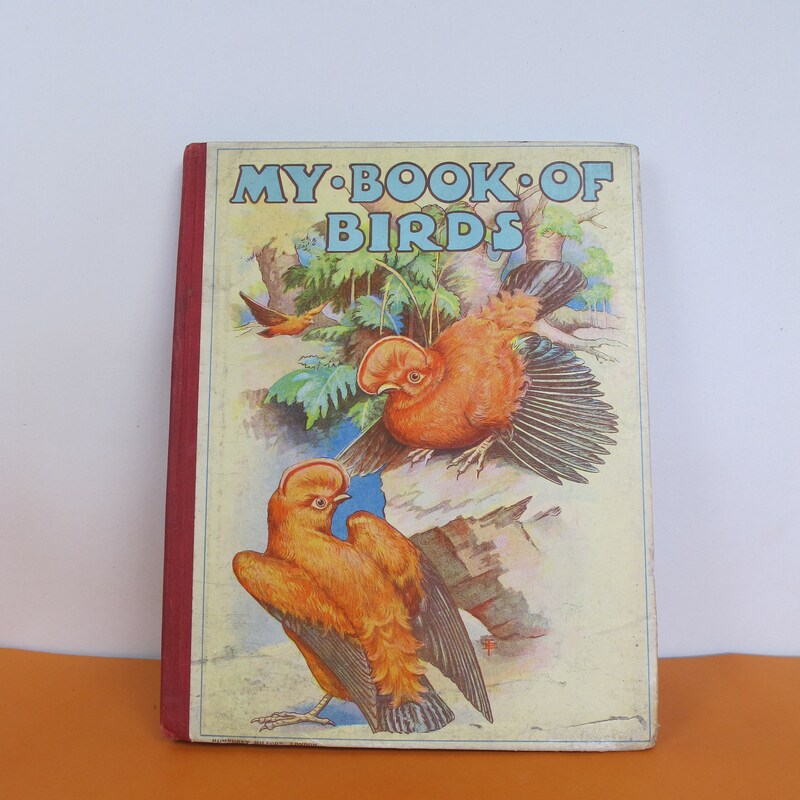 Vintage Bird Book - Etsy
