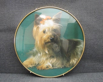 Yorkie Picture Frame - Etsy