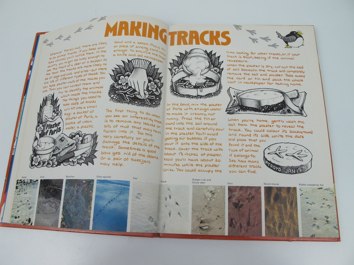 Magpie Annual 1976. Vintage Children's Hardback Book. UK - Etsy UK