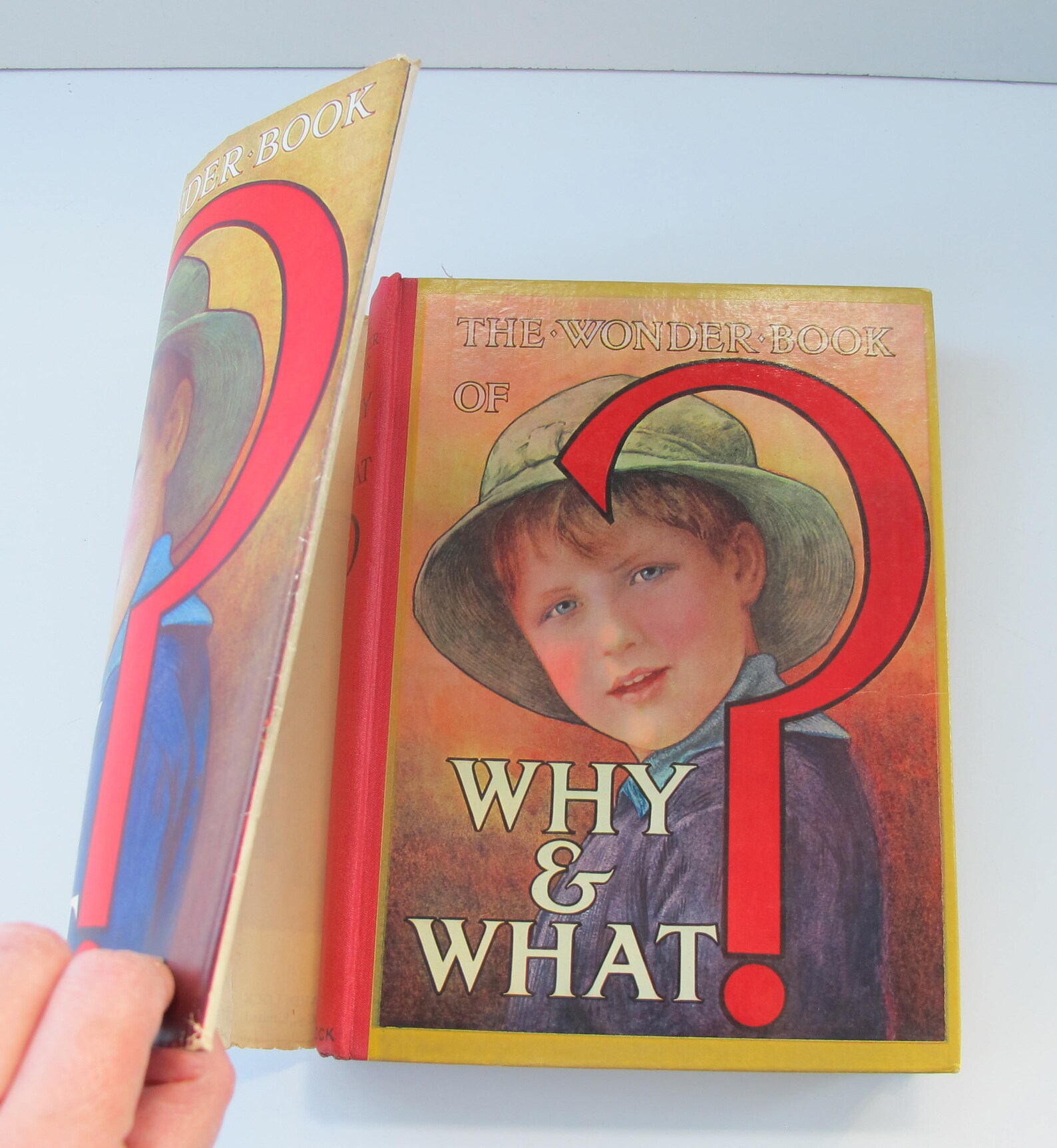 The Wonder Book of Why and What Vintage Children's | Etsy