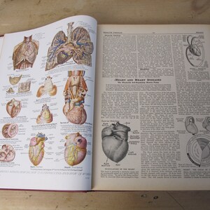 The Concise Home Doctor Encyclopedia of Good Health - Volumes One and ...