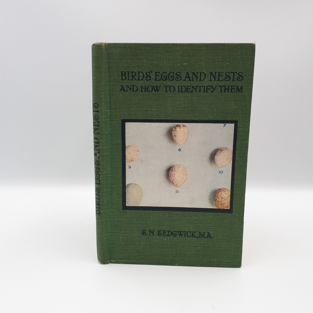Birds' Eggs and Nests and How to Identify Them by S N Sedgwick 1932 ...