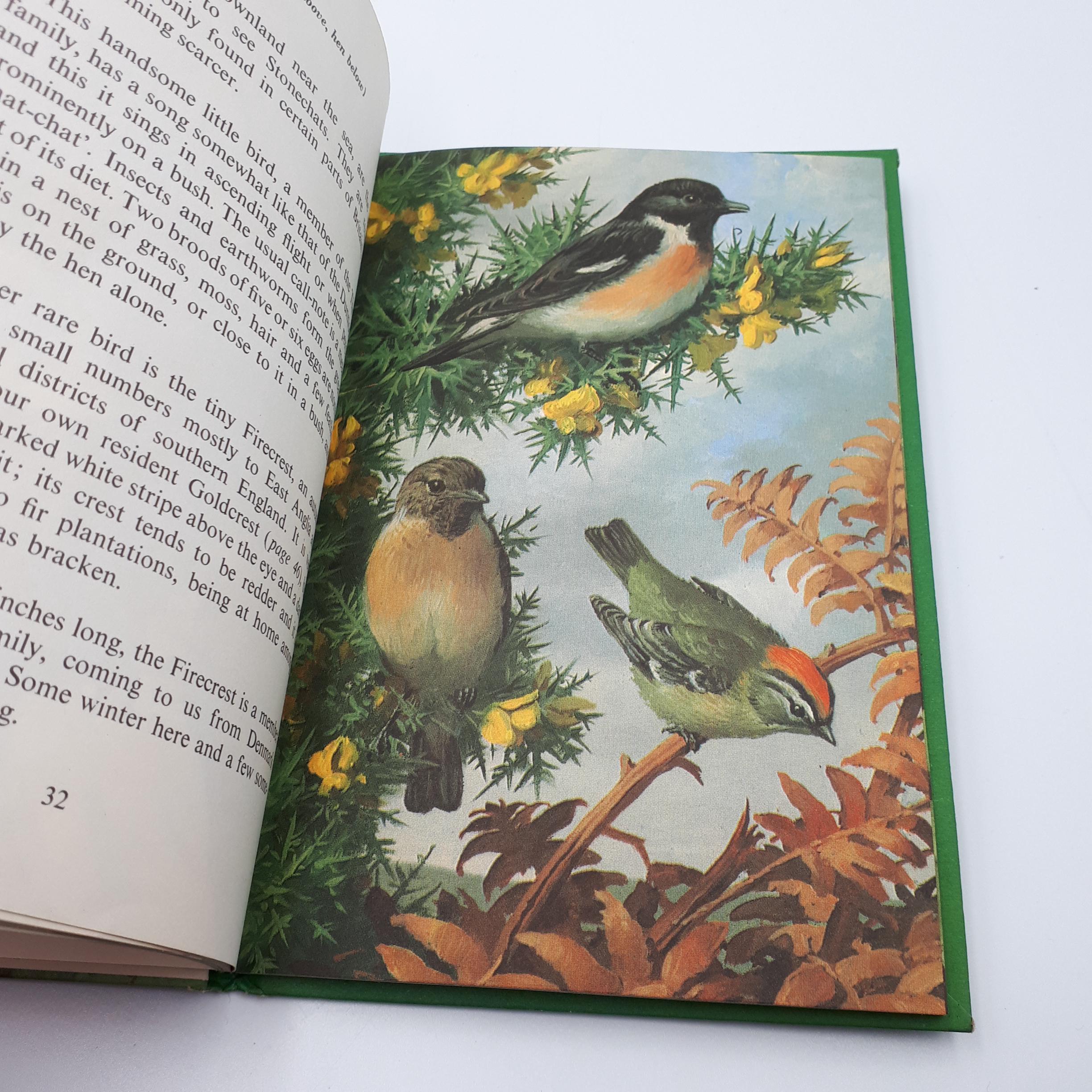 Vintage Ladybird Book - Heath and Woodland Birds Series 536. Ladybird ...