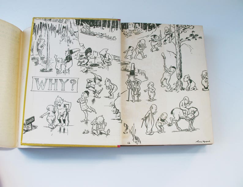 The Wonder Book of Why and What Vintage Children's | Etsy