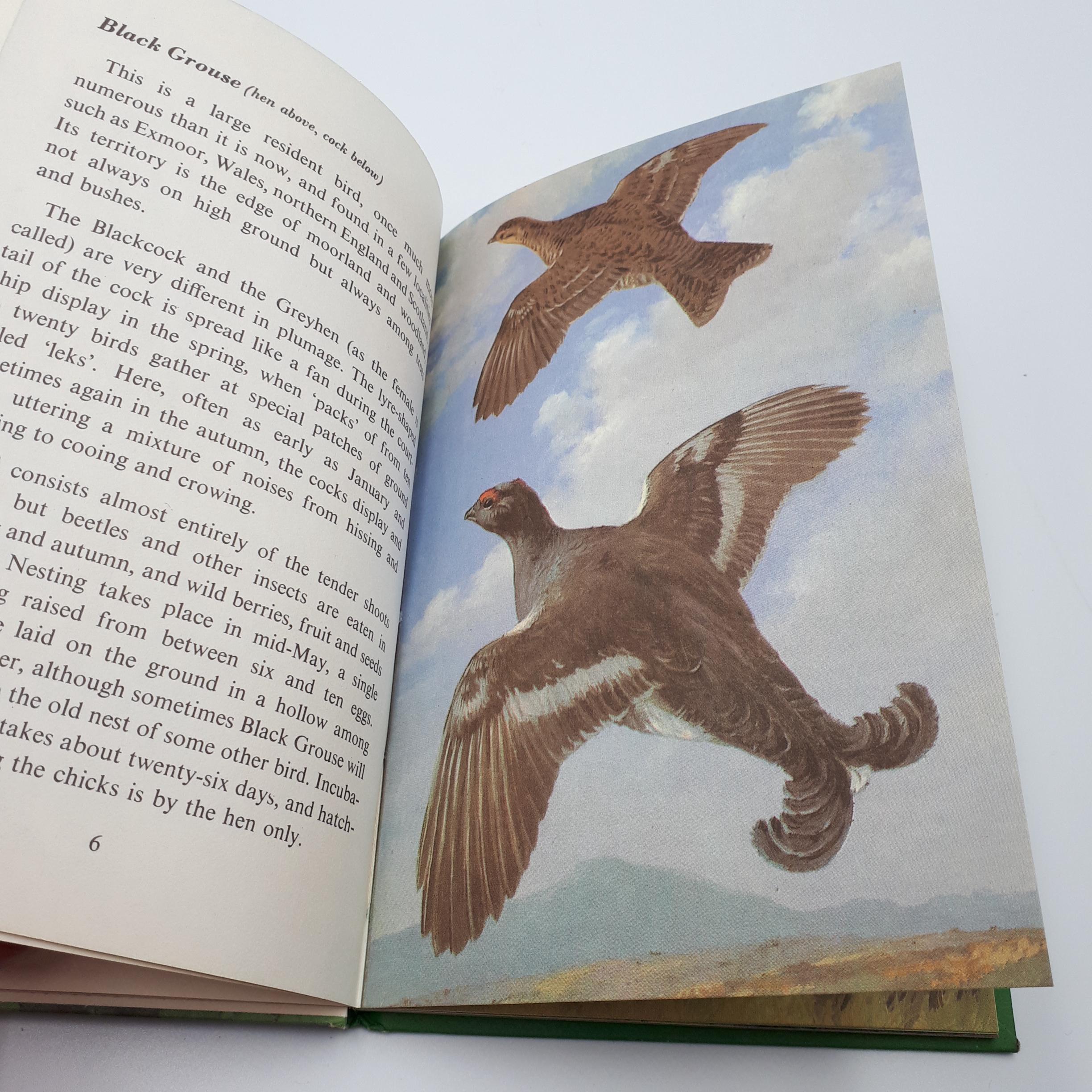 Vintage Ladybird Book - Heath and Woodland Birds Series 536. Ladybird ...