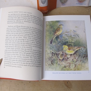 A Pocket Book of British Birds' Eggs and Nests by Charles A Hall, With ...