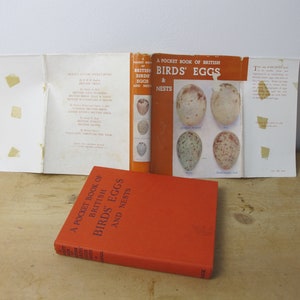A Pocket Book of British Birds' Eggs and Nests by Charles A Hall, With ...