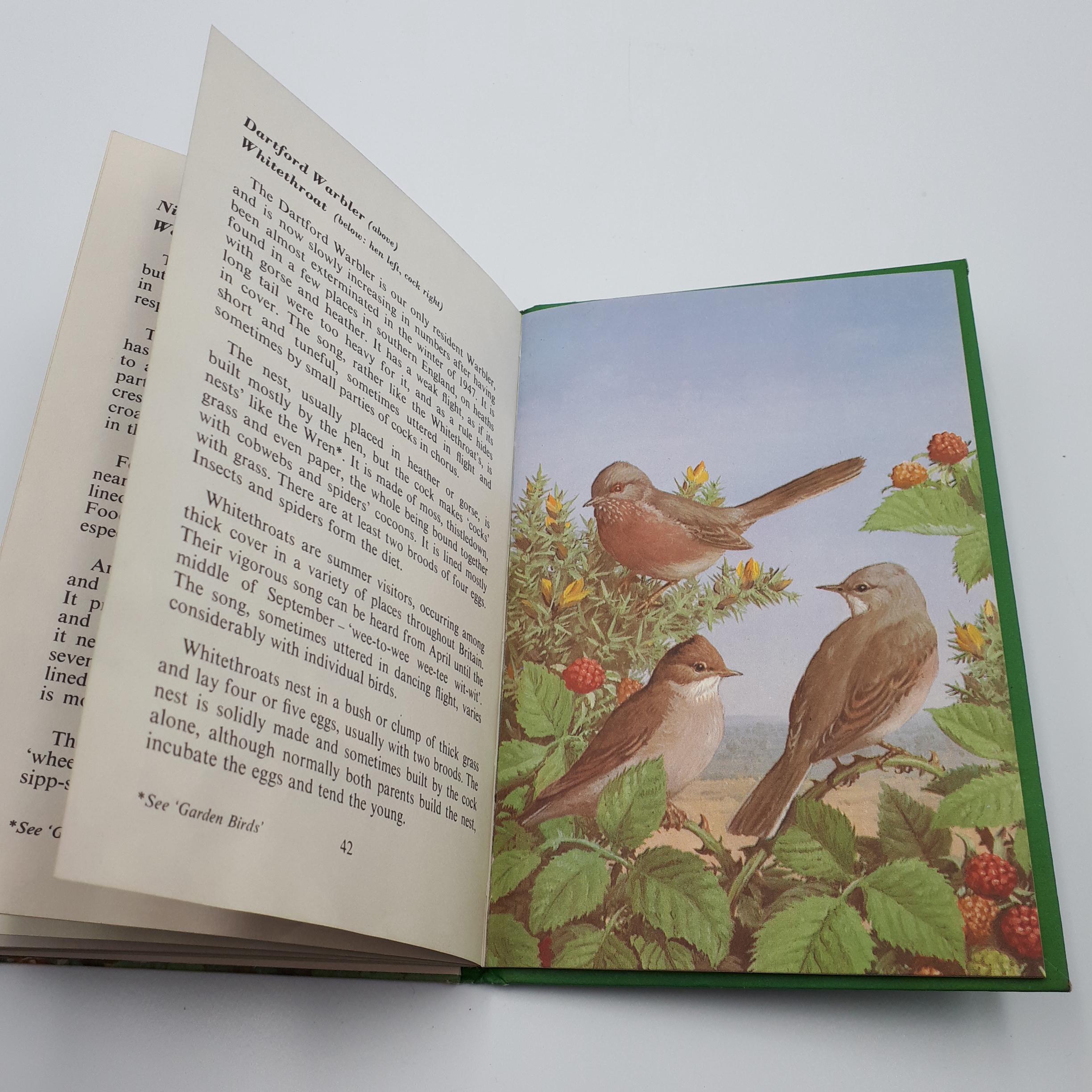 Vintage Ladybird Book - Heath and Woodland Birds Series 536. Ladybird ...