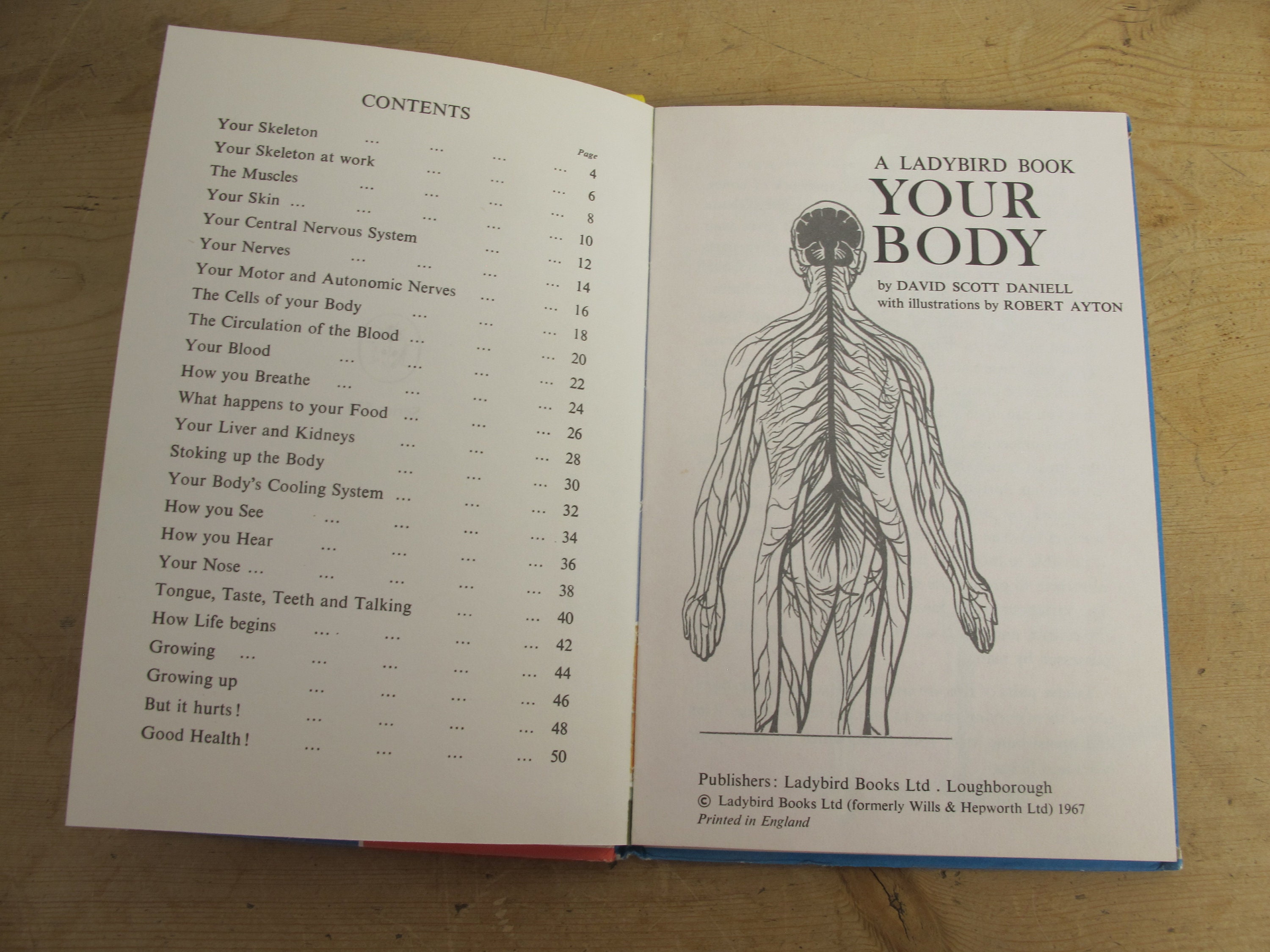 Vintage Ladybird Book Your Body. Series 536. by David Scott - Etsy UK