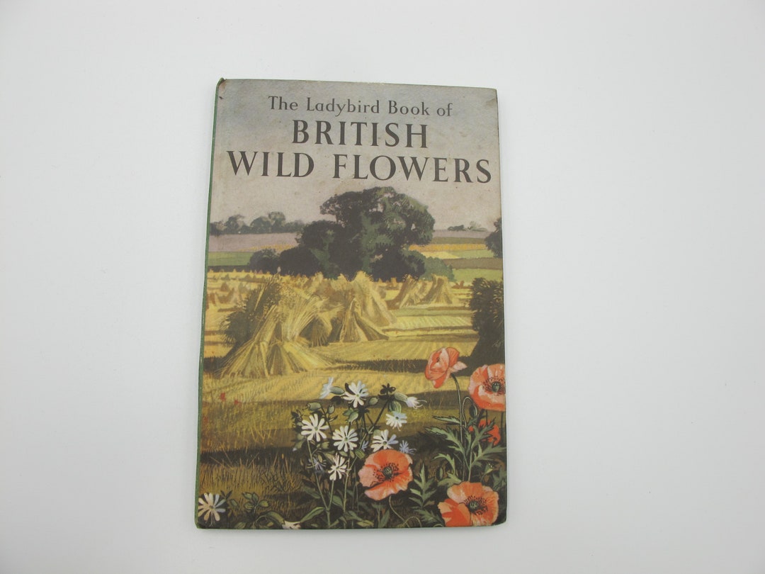 Vintage Ladybird Book of British Wild Flowers, Illustrated by Roland ...