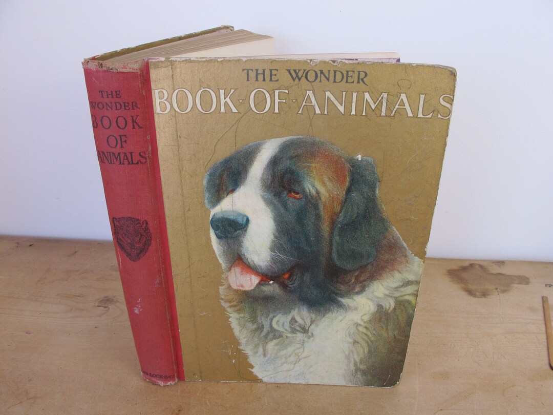 The Wonder Book of Animals. Vintage Children's Book. Lovely ...
