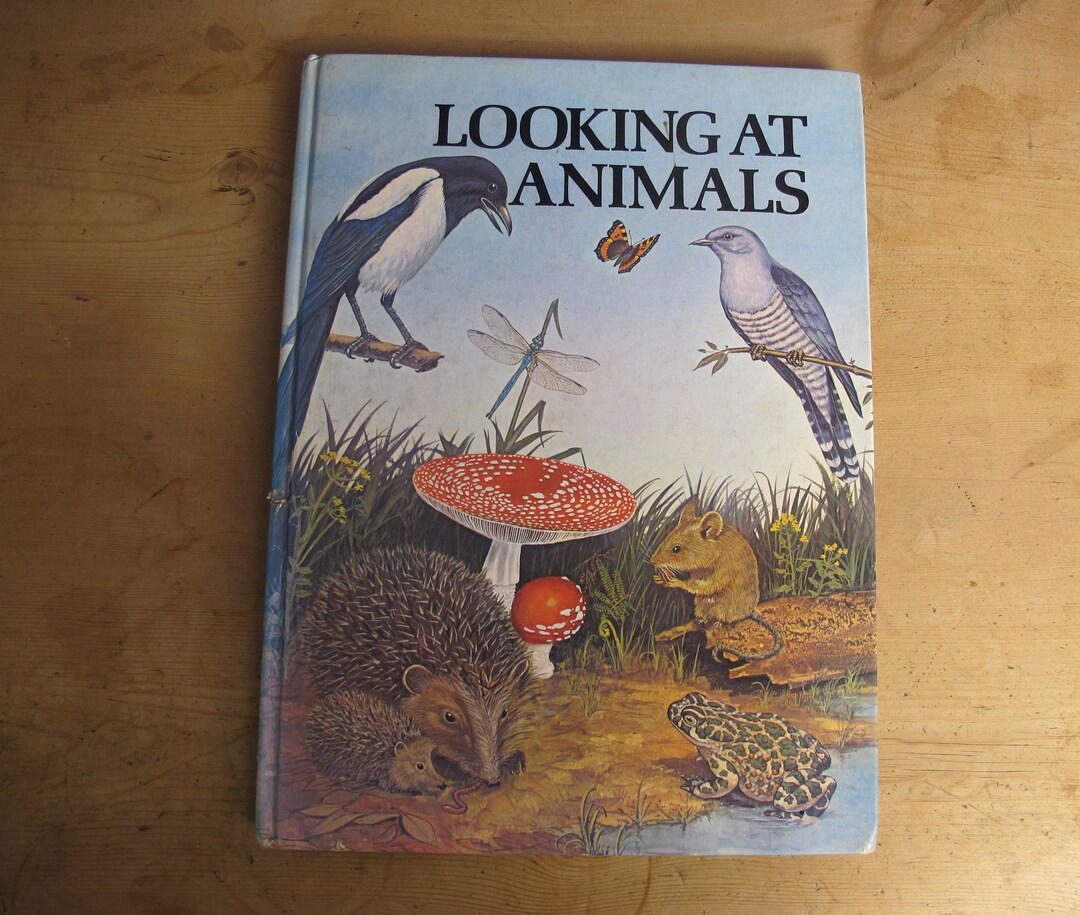 Vintage Book - Looking at Animals by Franz Moisl - Illustrated by ...