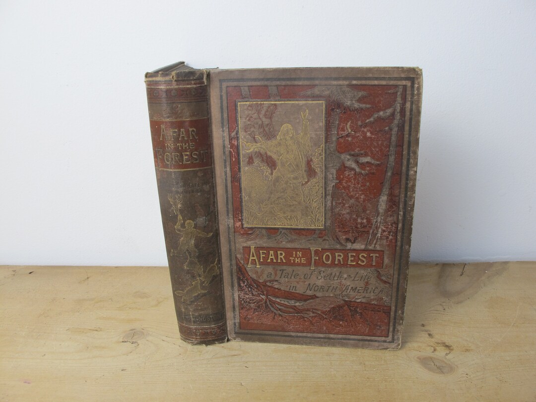 Afar in the Forest - a Tale of Settler Life in North America by W H G ...