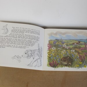 The Hare in a Hurry by Molly Brett, Published 1975. Lovely ...