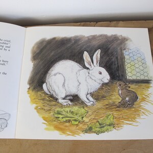 The Hare in a Hurry by Molly Brett, Published 1975. Lovely ...