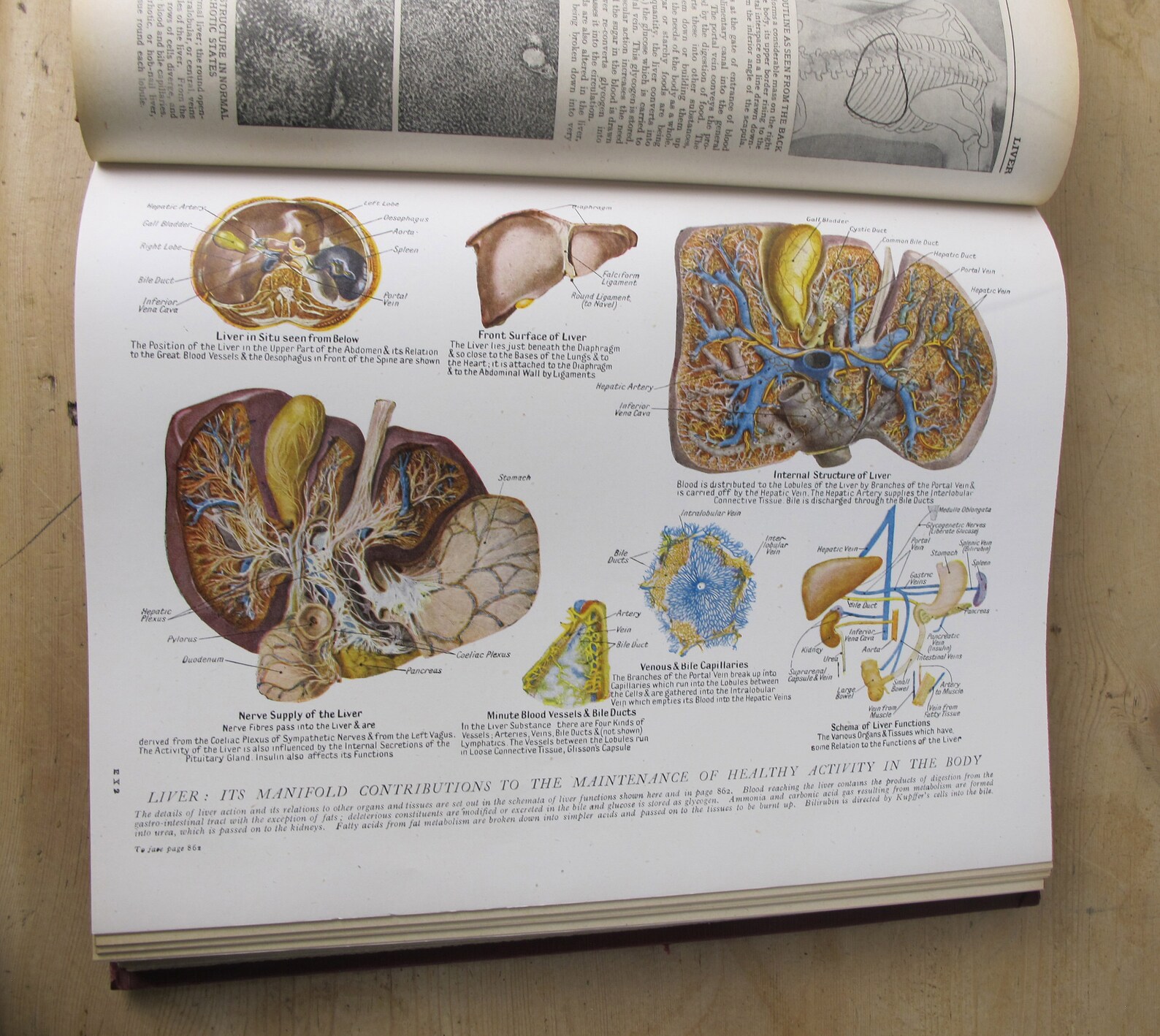 The Concise Home Doctor Encyclopedia of Good Health - Volumes One and ...