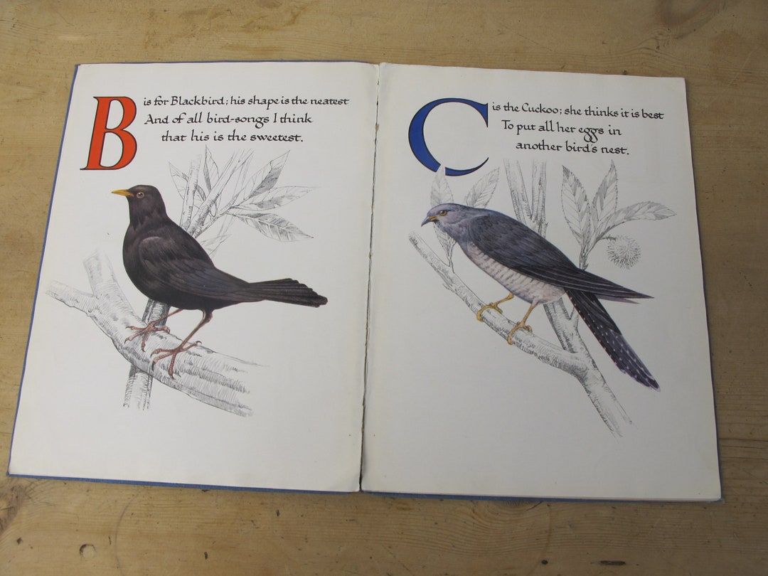 Birds' Alphabet by Edward Pye-smith With Pictures by W F Norhend ...