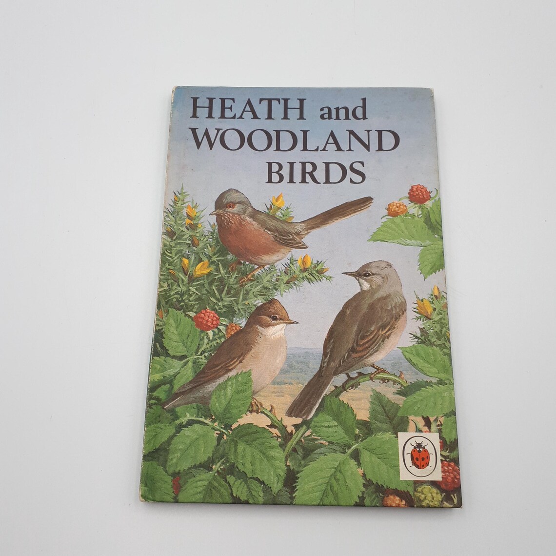 Vintage Ladybird Book - Heath and Woodland Birds Series 536. Ladybird ...
