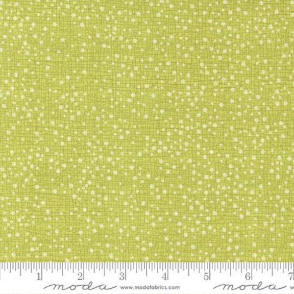 Pansys Posies Fabric - Etsy