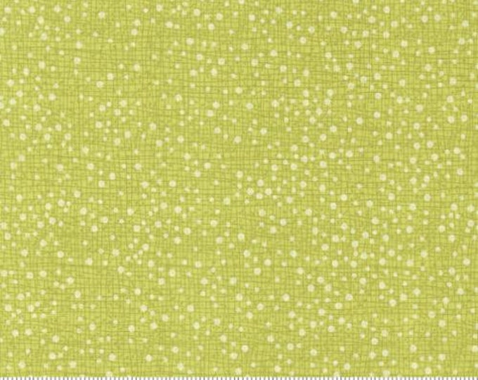 Pansy’s Posies Yardage by Robin Pickens for Moda Fabrics 48715 217 Leaf ...