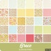 Emmie Quilt Pattern Featuring Grace by Brenda Riddle of Acorn Quilts ...