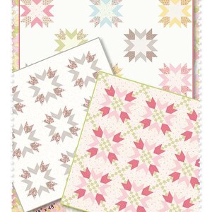 Emmie Quilt Pattern Featuring Grace by Brenda Riddle of Acorn Quilts ...