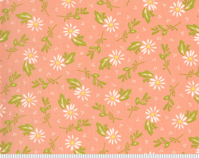 Adventures by Amy Ellis for Moda Fabric. Yardage Adventures Plaid ...