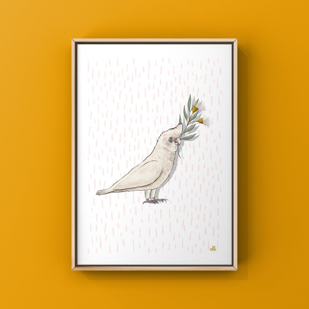 Corella A3 Art Print - Etsy