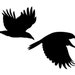 Crows in a Circle - Etsy