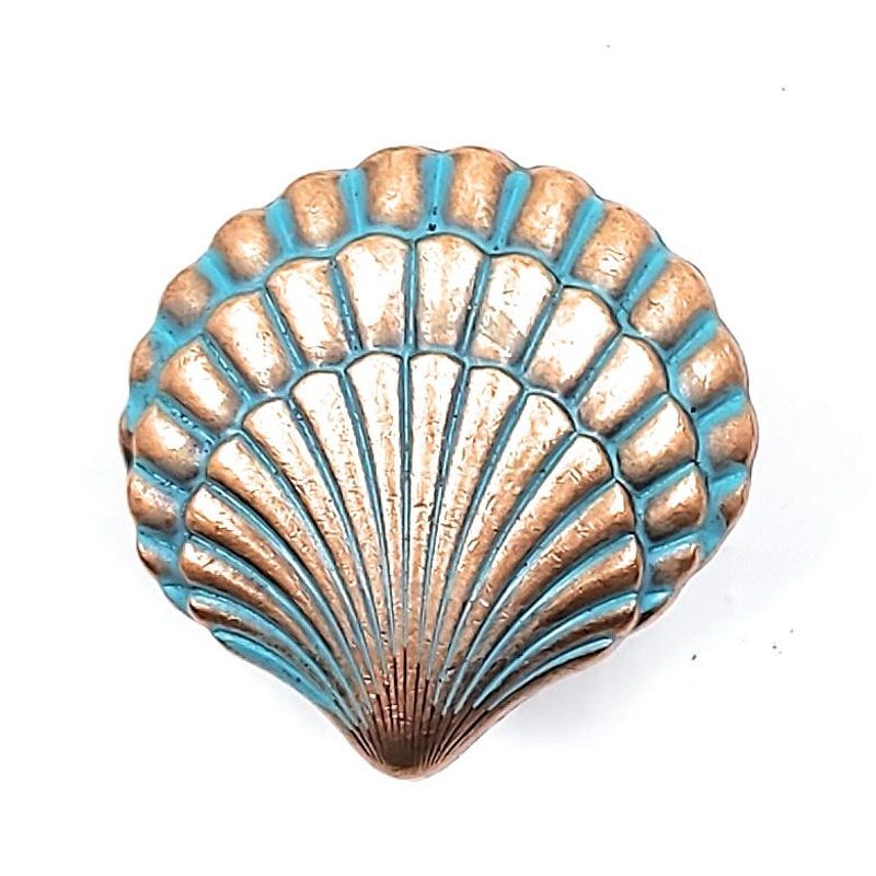 Seashell Knobs - Etsy