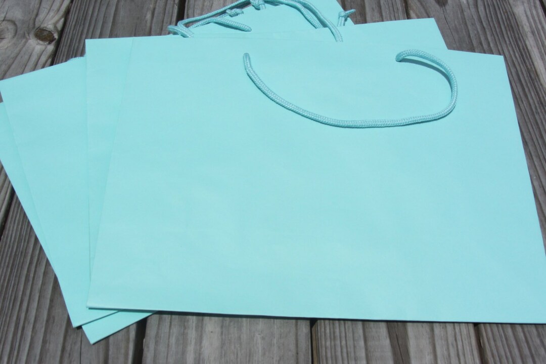 50 Pack 16x6x12 Robins Egg Blue Gift Bags Heavy-weight Paper - Etsy