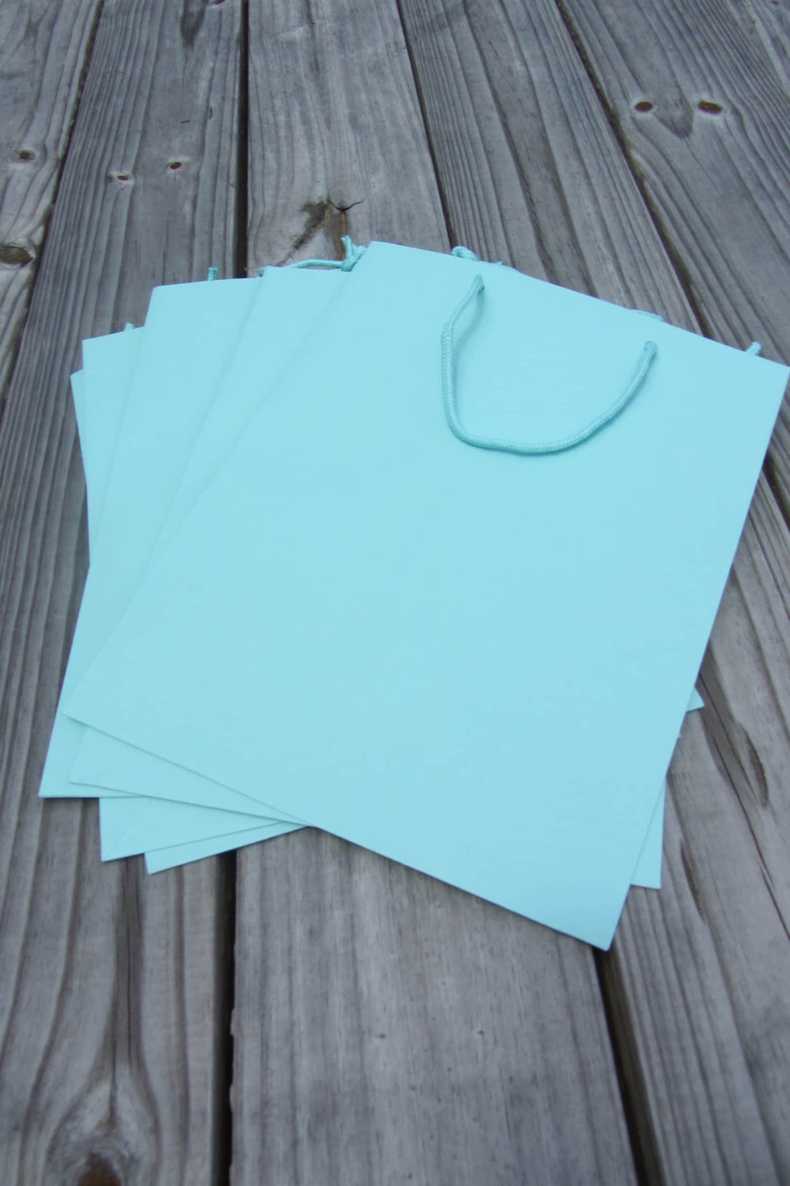 100 Pack 10x5x13 Robins Egg Blue Gift Bags Heavy-weight Paper - Etsy