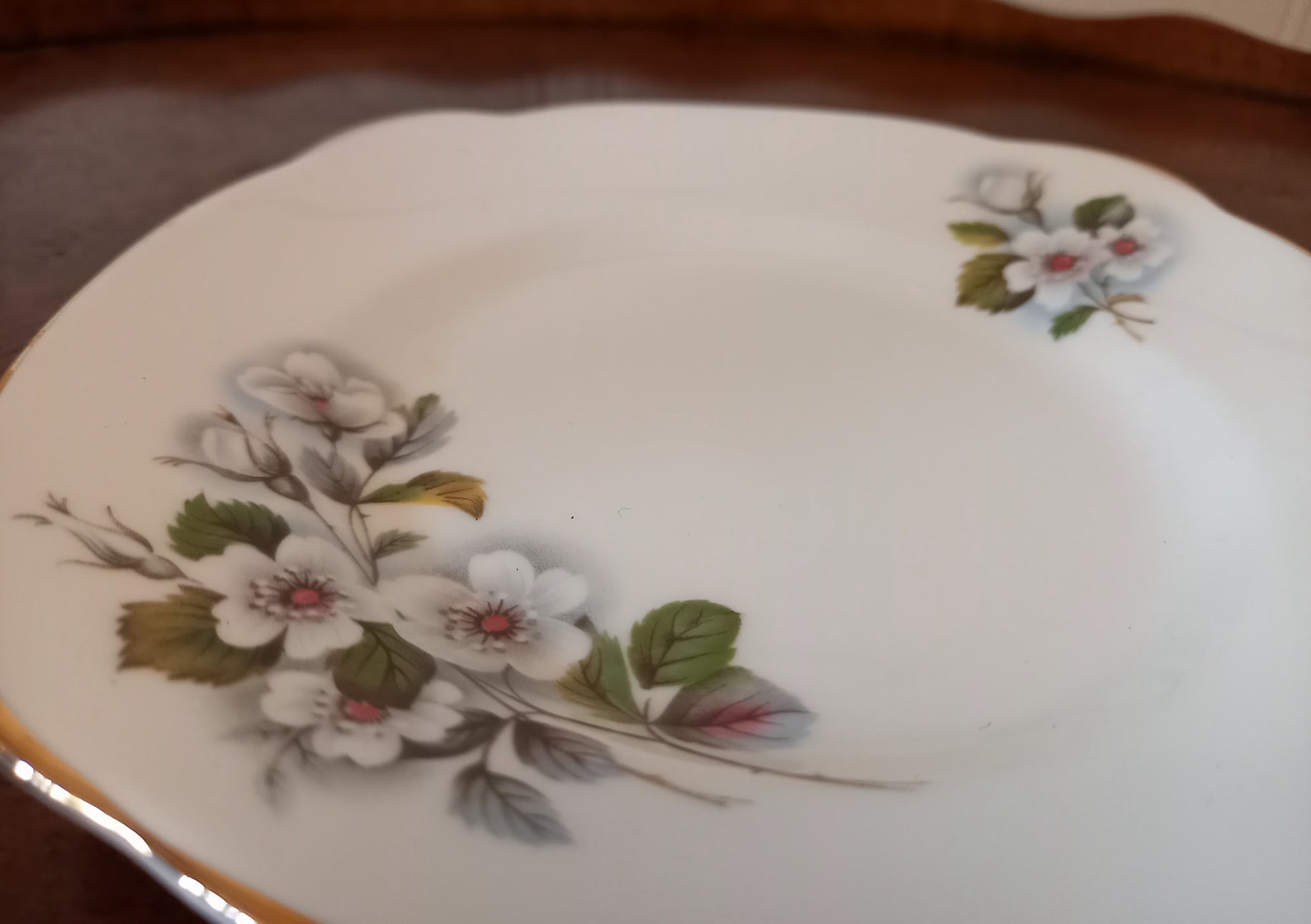 Vintage Duchess White Wild Rose Cake Dessert Plate - Etsy