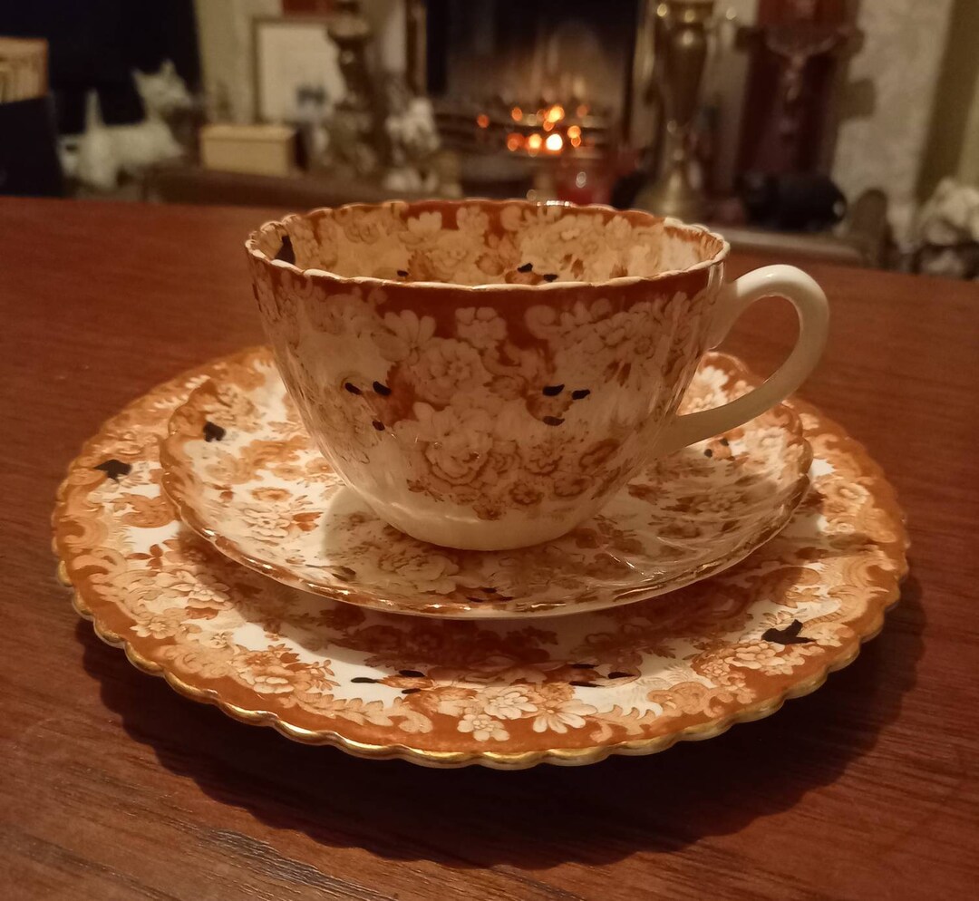 Antique Rustic Cottage Chic Samuel Radfords Fenton Bone China Victorian ...