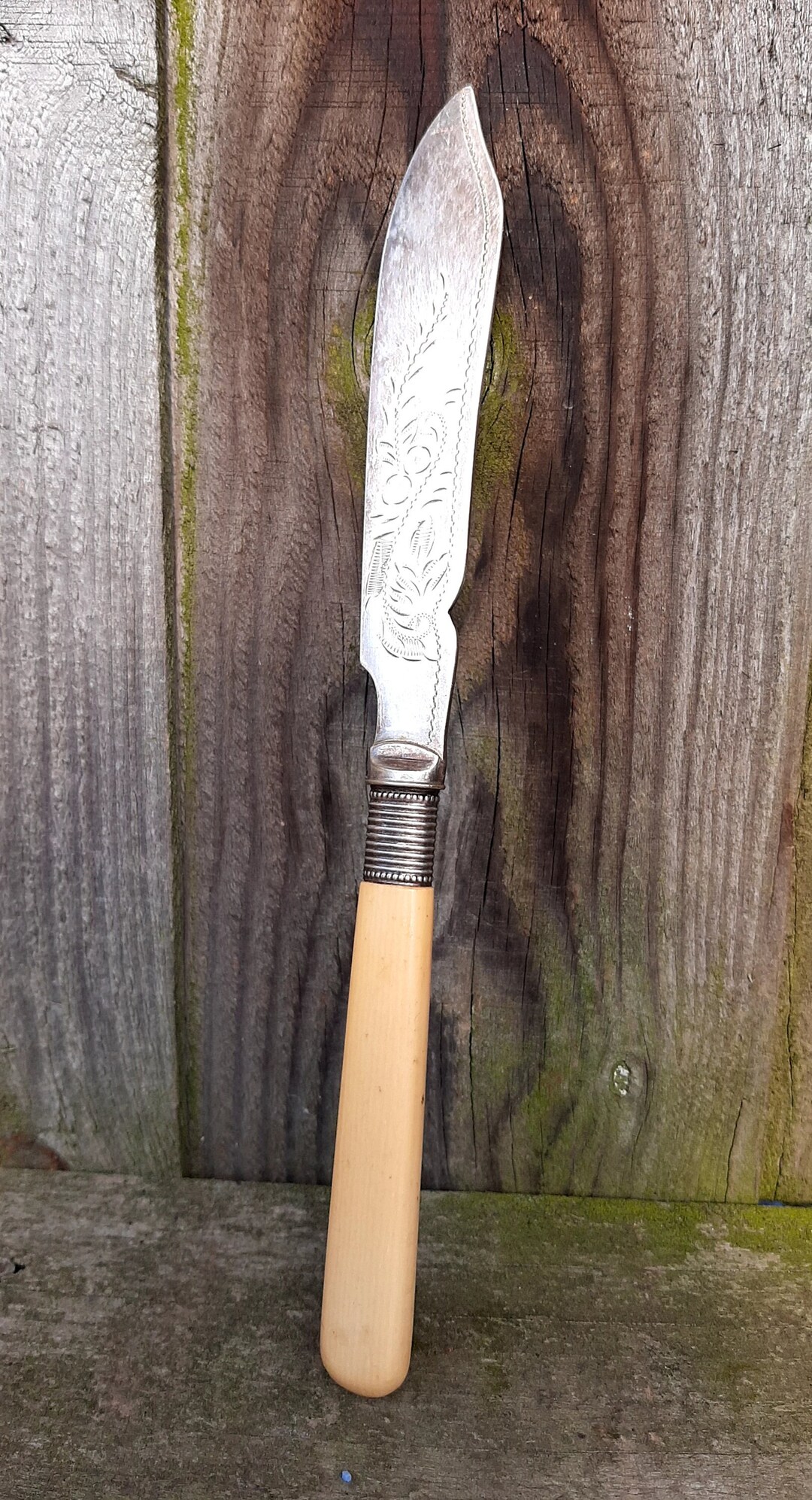 Antique Fish Knife Ornate Eps Blade and Celluloid Handle - Etsy