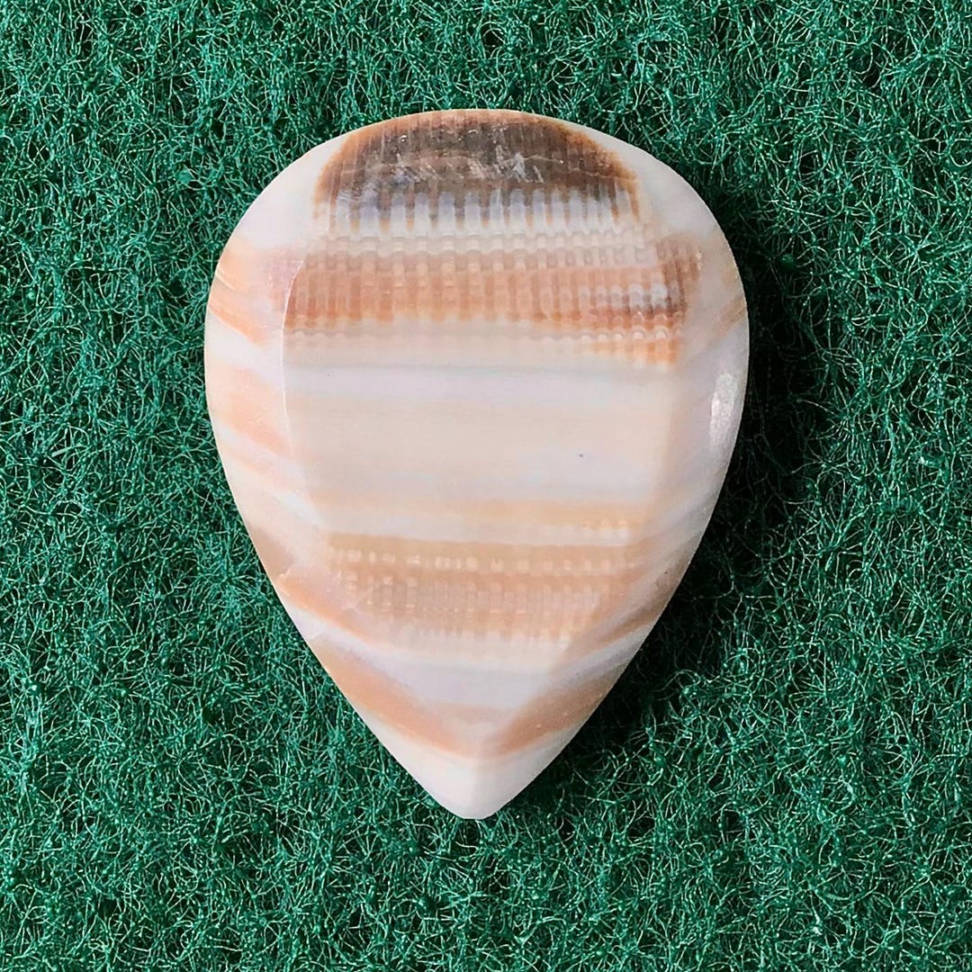 Seashell Guitar Pick/4.9mm Thick, Teardrop Profile... by Beachsidepicks ...