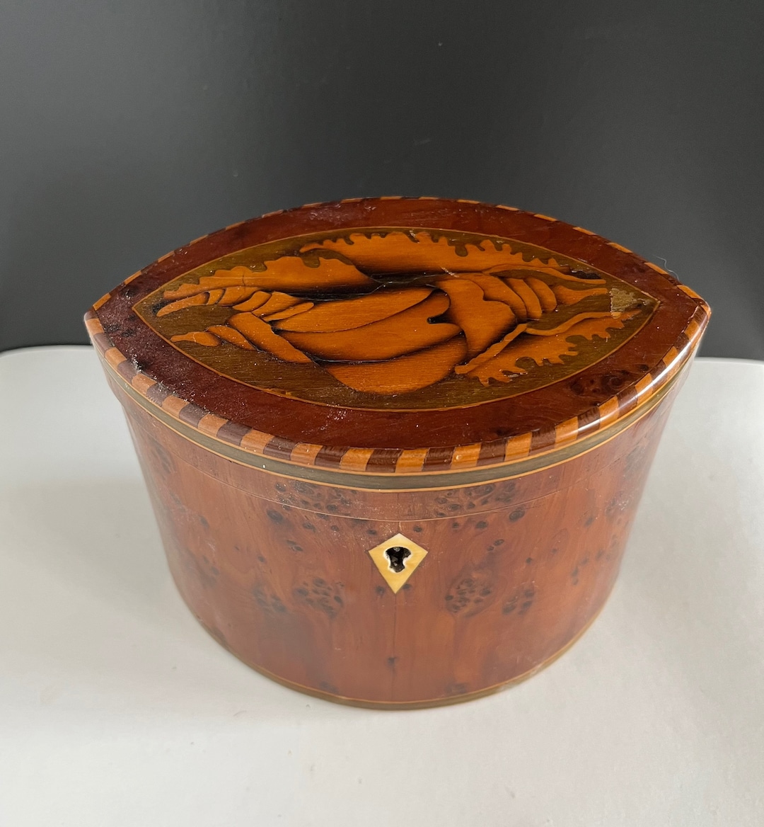 Antique Georgian 19th Century Inlaid Wood Navette Shell Tea Caddy - Etsy