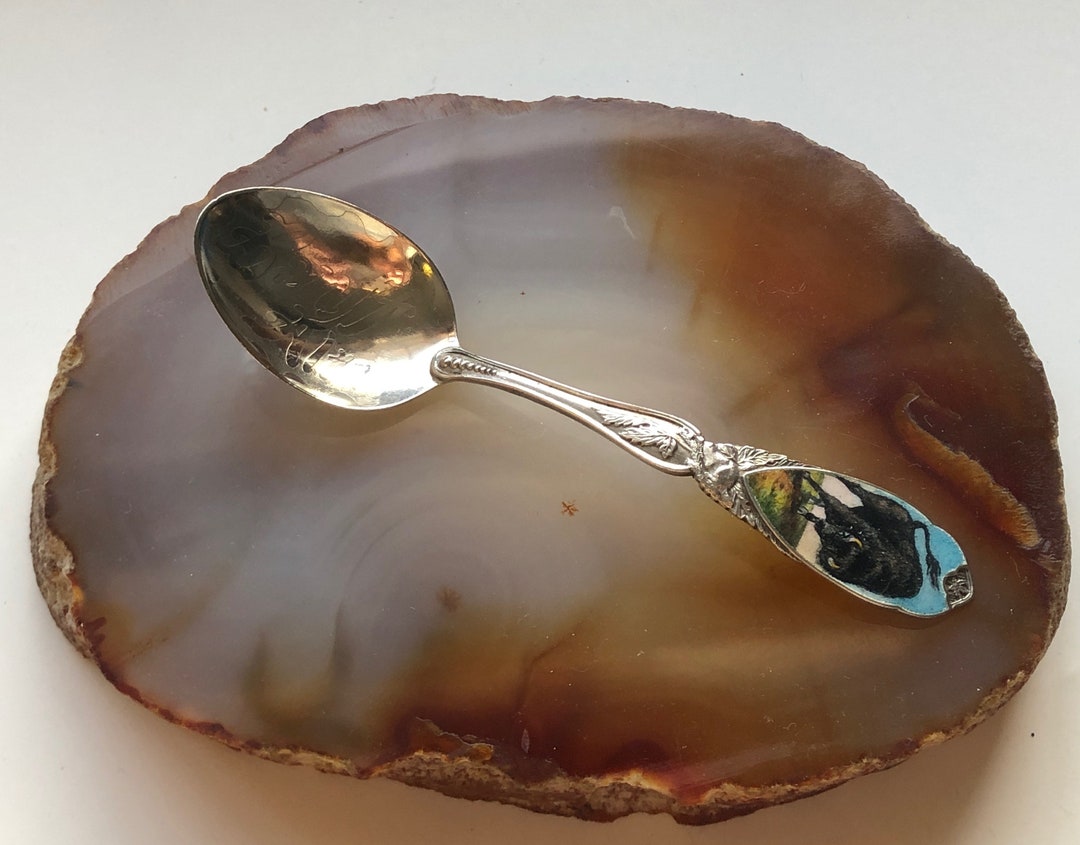 Antique Sterling Silver Souvenir Spoon Fully Enamelled Bison Buffalo ...