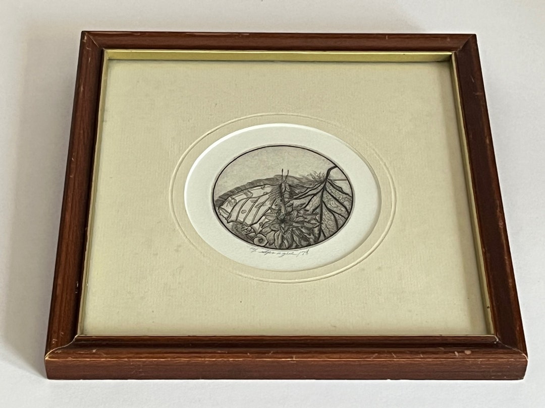 Small Vintage Original Artwork Nature Study of Moth Engraving Signed M ...